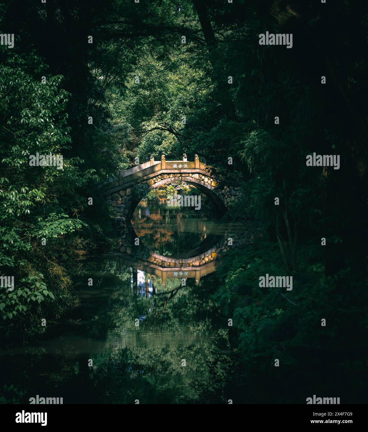 Nature Background with sunlight; Green background Stock Photo - Alamy