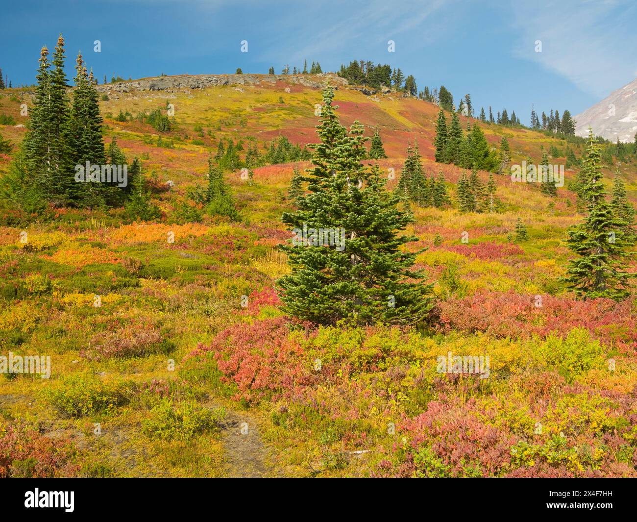 USA, Washington State, Mount Rainier National Park. Fall color scene at ...