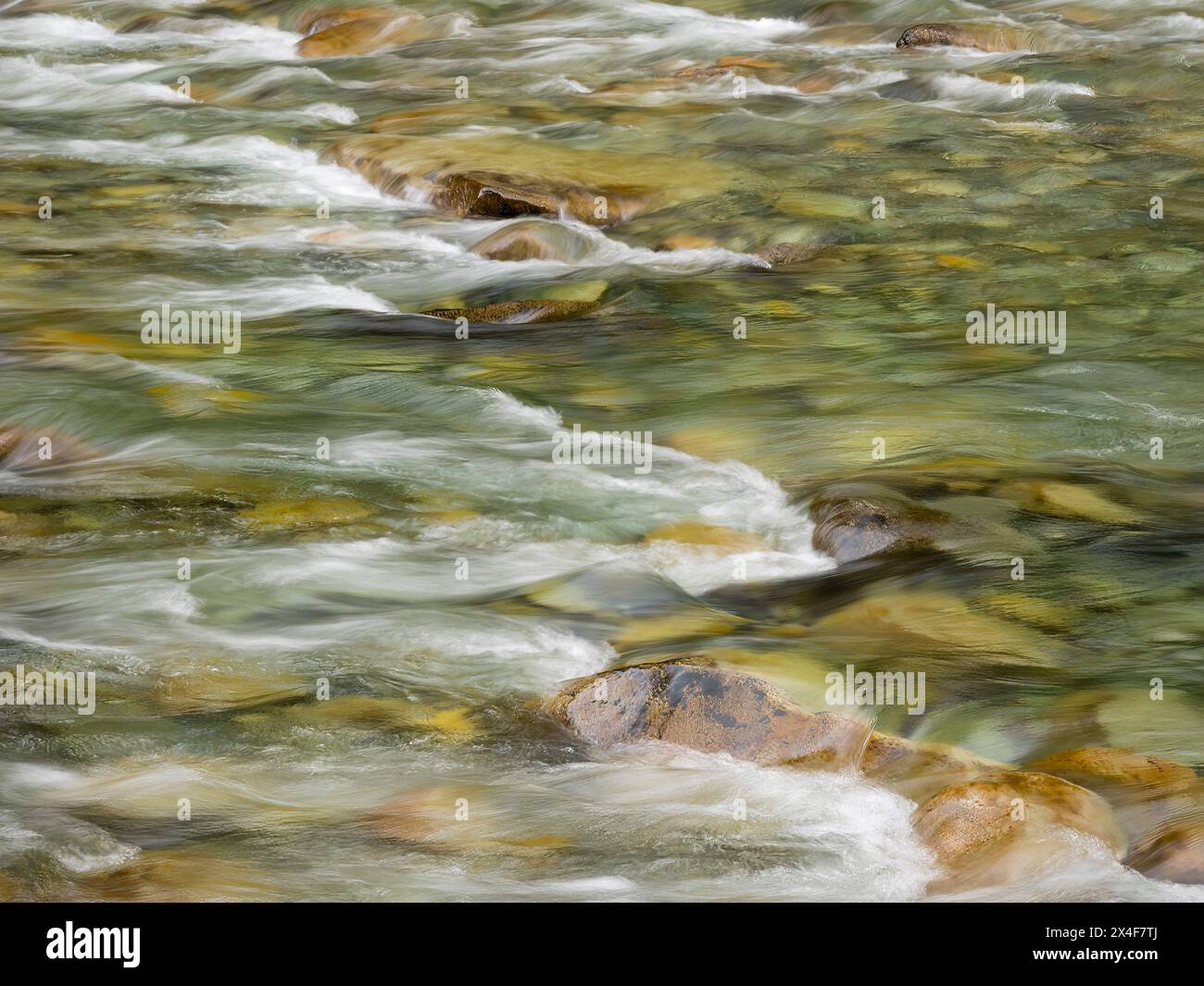 USA, Washington State. Central Cascades, Middle Fork Snoqualmie River ...