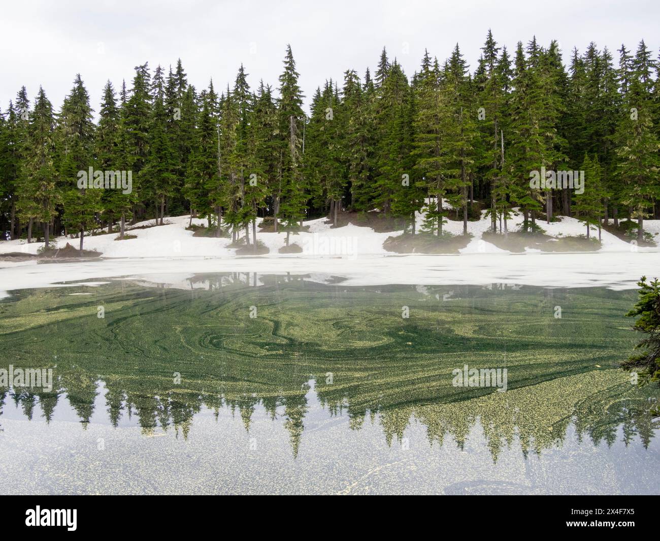 USA, Washington State. Central Cascades, reflections and patterns in ...
