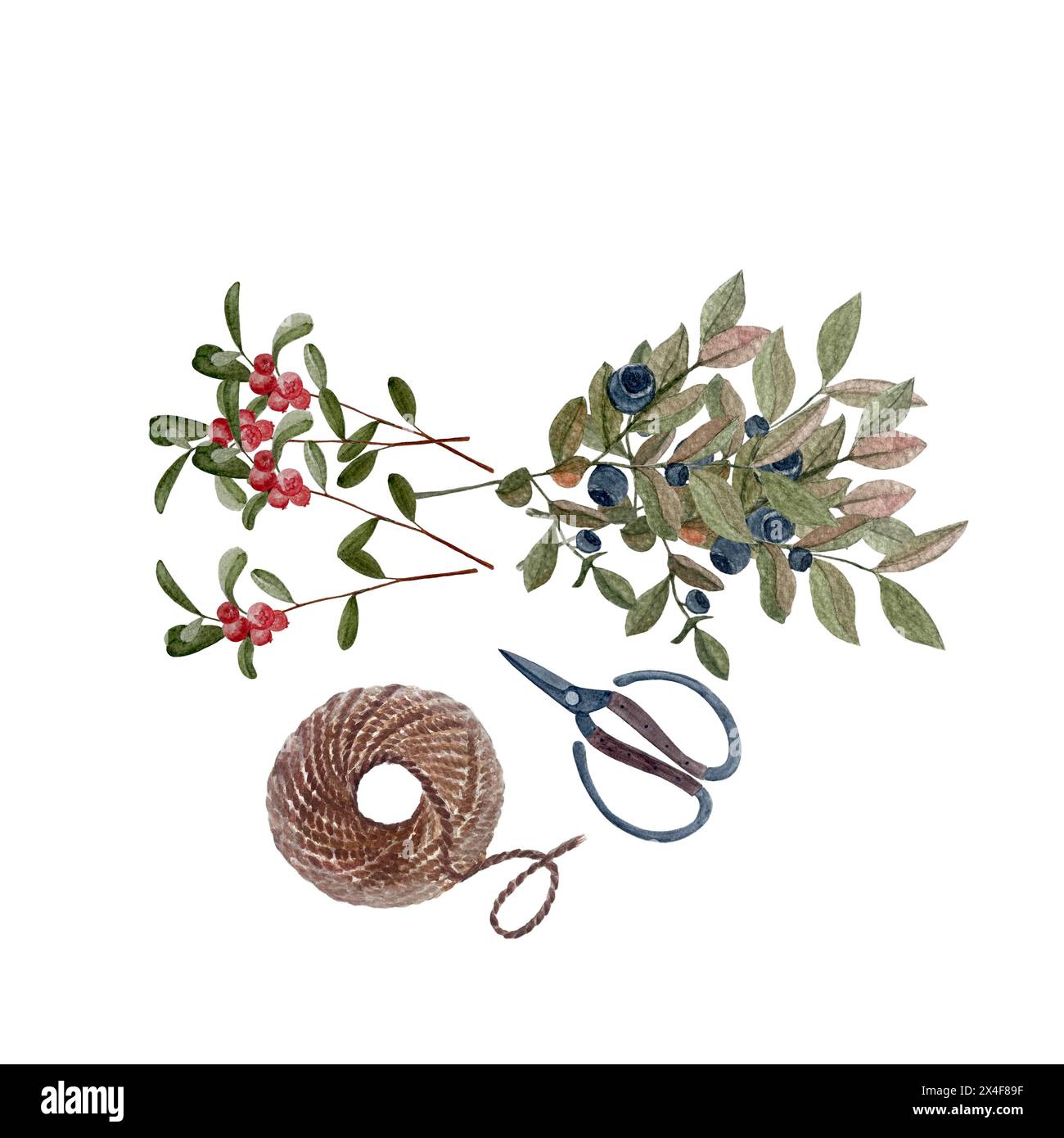 A bunch of blueberry, lingonberry twigs, jute rope ball, scissors ...