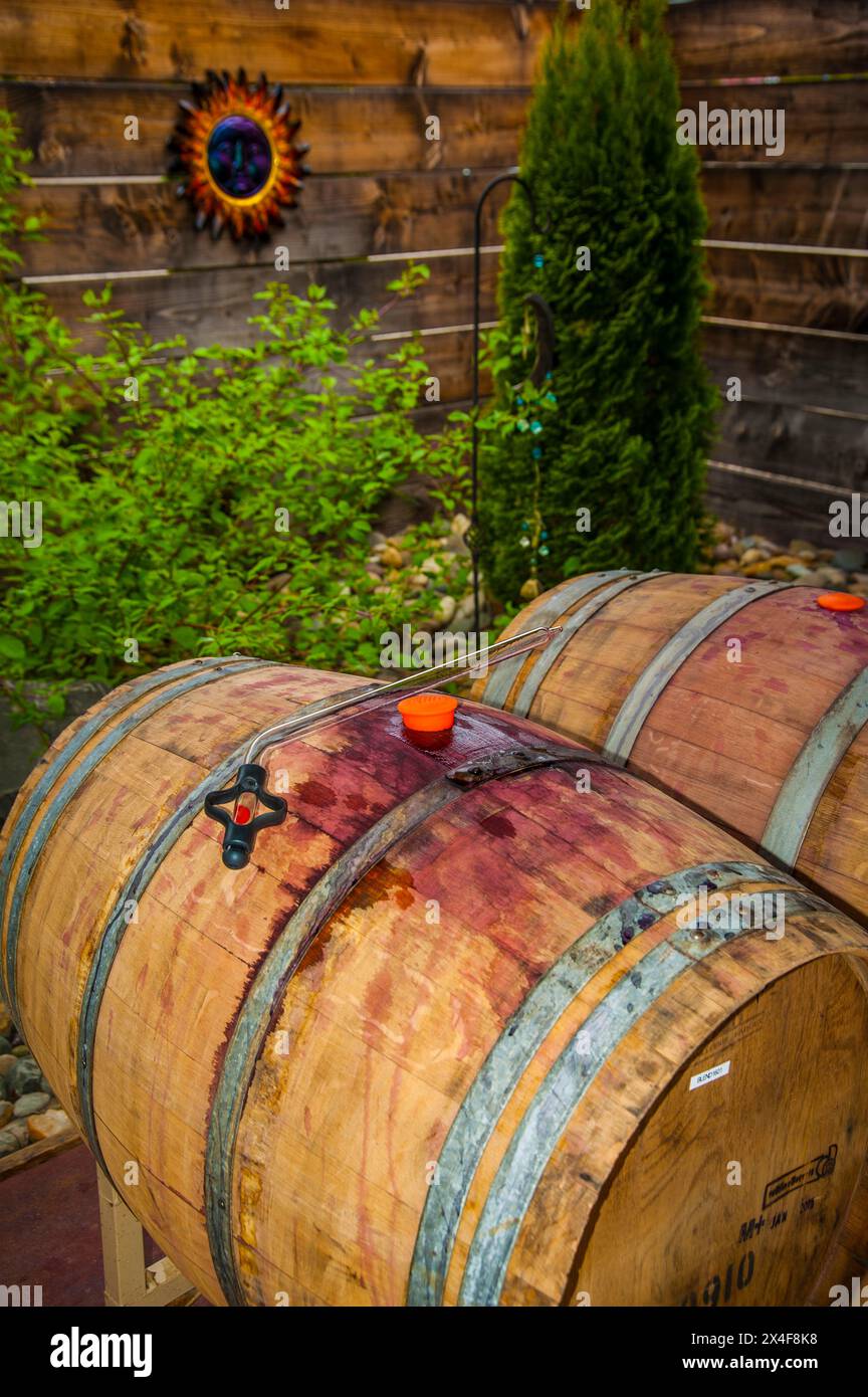 USA, Washington State, Yakima Valley. Spring Barrel Release at Van ...