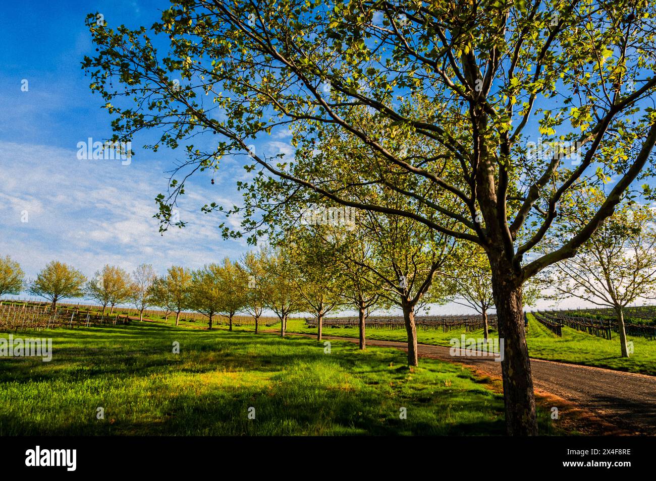 Figgins estate hi-res stock photography and images - Alamy