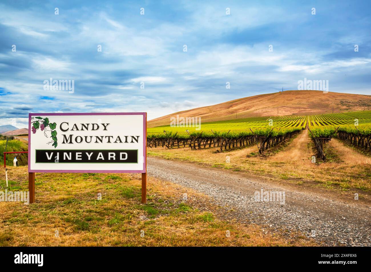 USA, Washington State, Richland. Spring morning on Candy Mountain ...