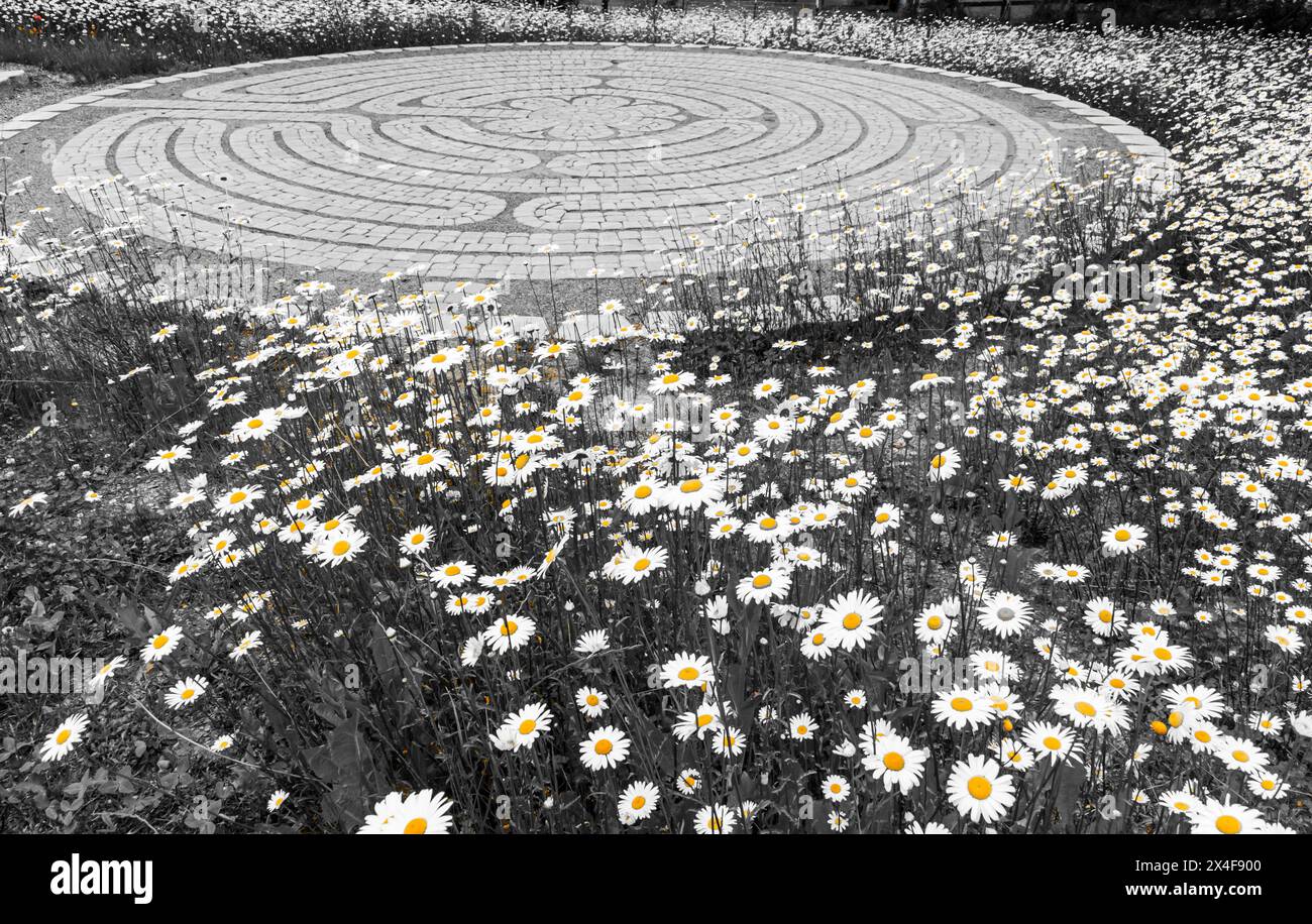USA, Washington State, Anderson Island. A labyrinth is surrounded by ...