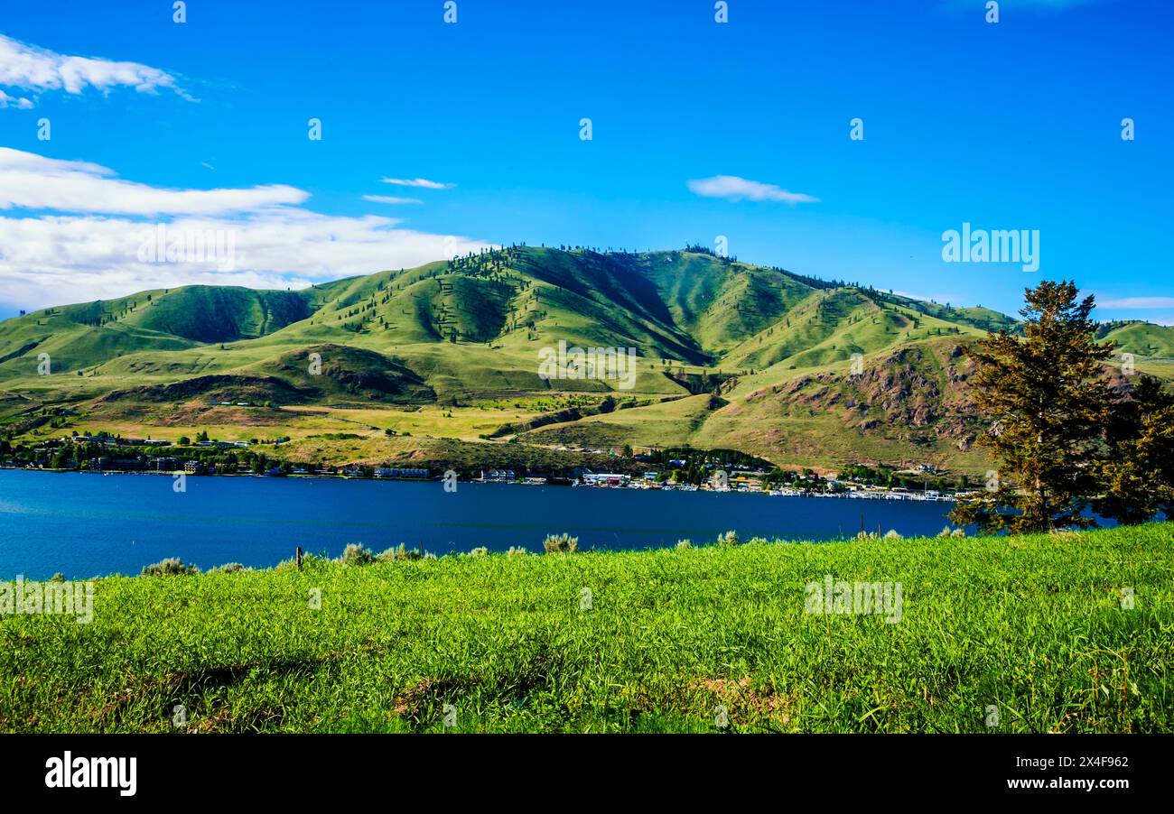 USA, Washington State, Lake Chelan. The estate vineyard of Vin du Lac ...