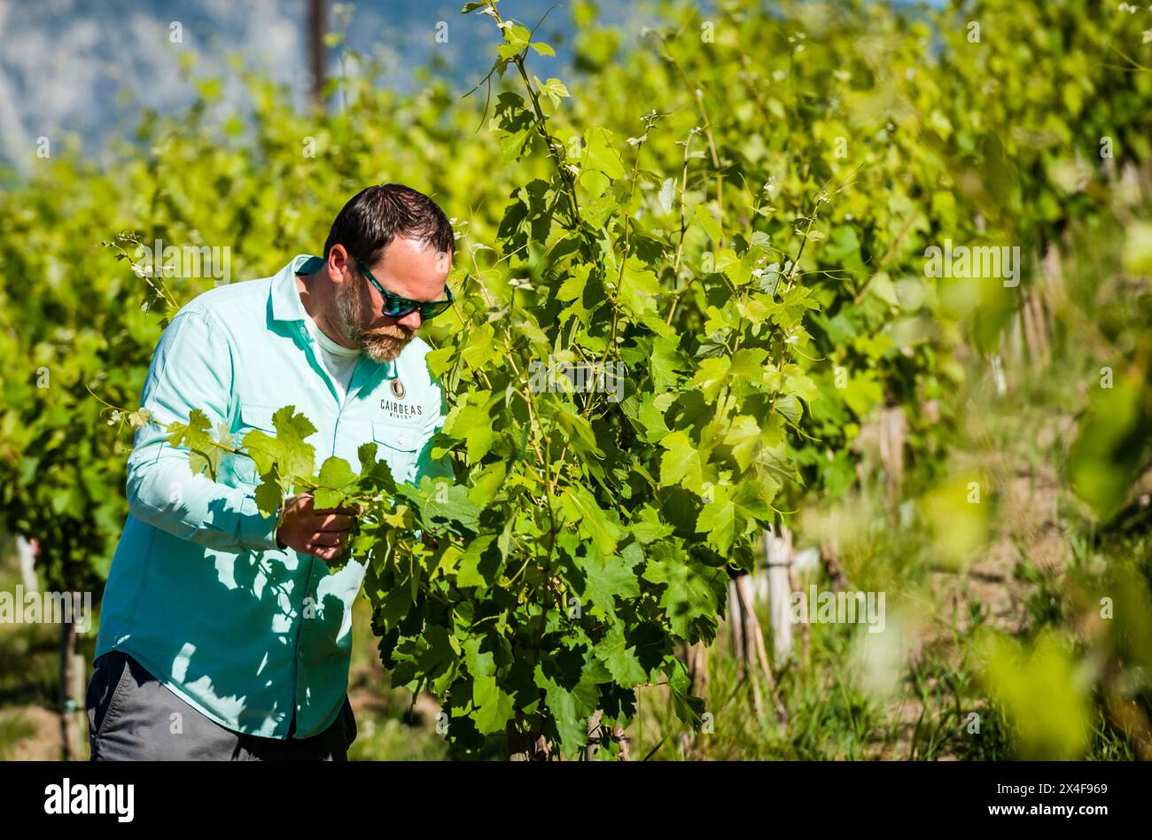Charlie lybecker hi-res stock photography and images - Alamy