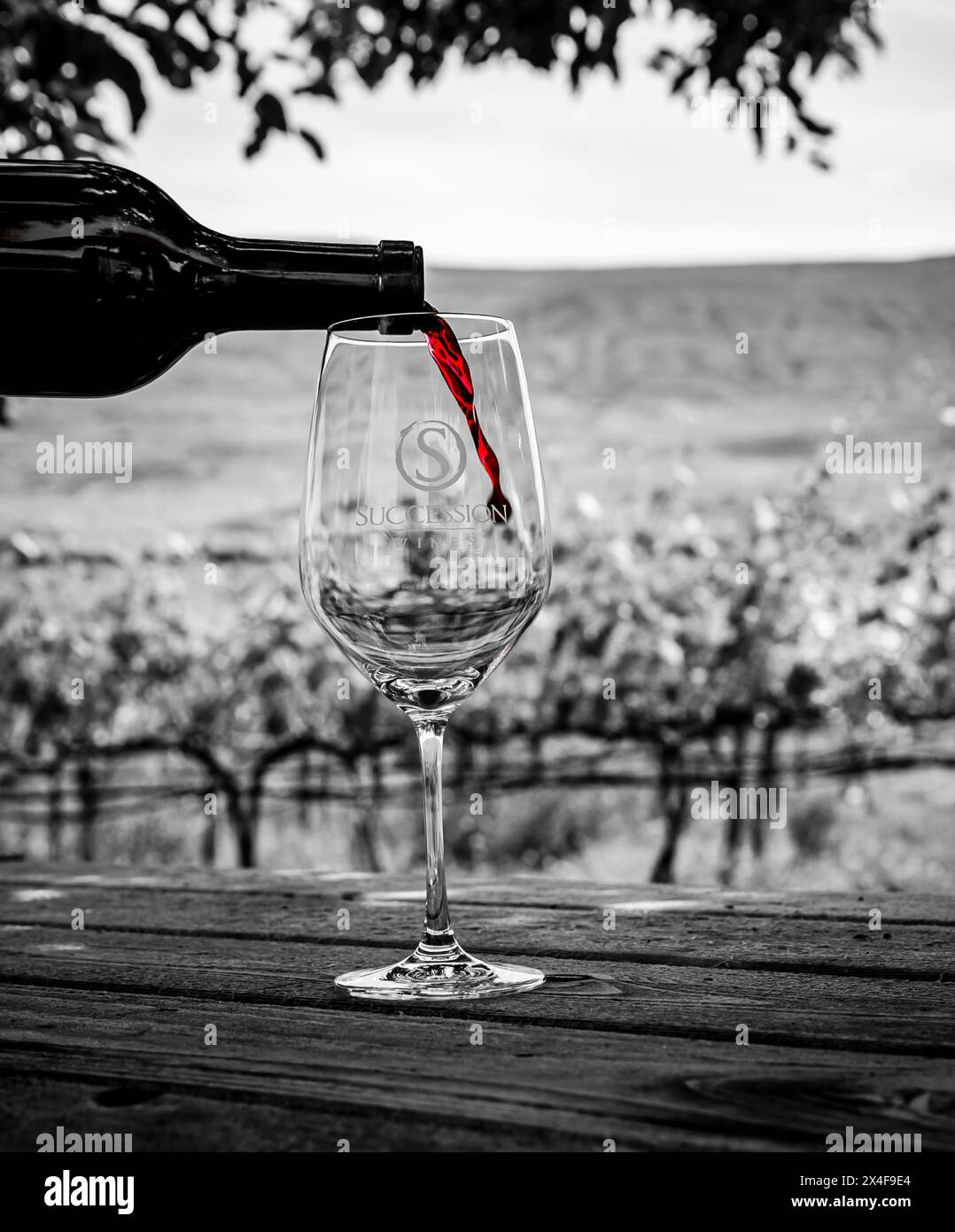 USA, Washington State, Lake Chelan. Filling a glass of red wine from ...
