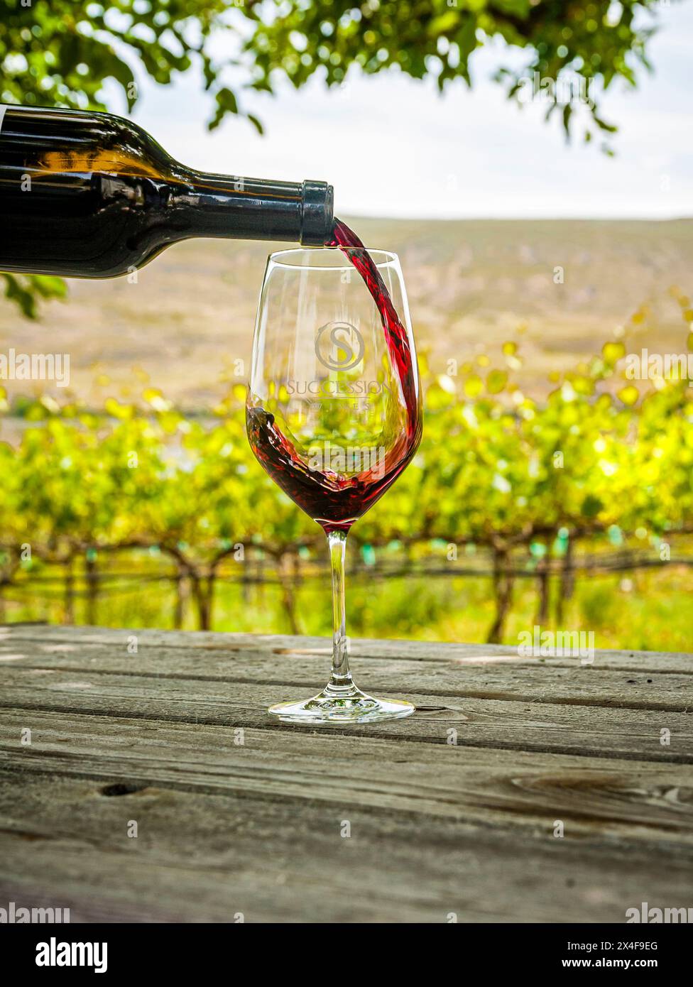 USA, Washington State, Lake Chelan. Filling a glass of red wine from ...