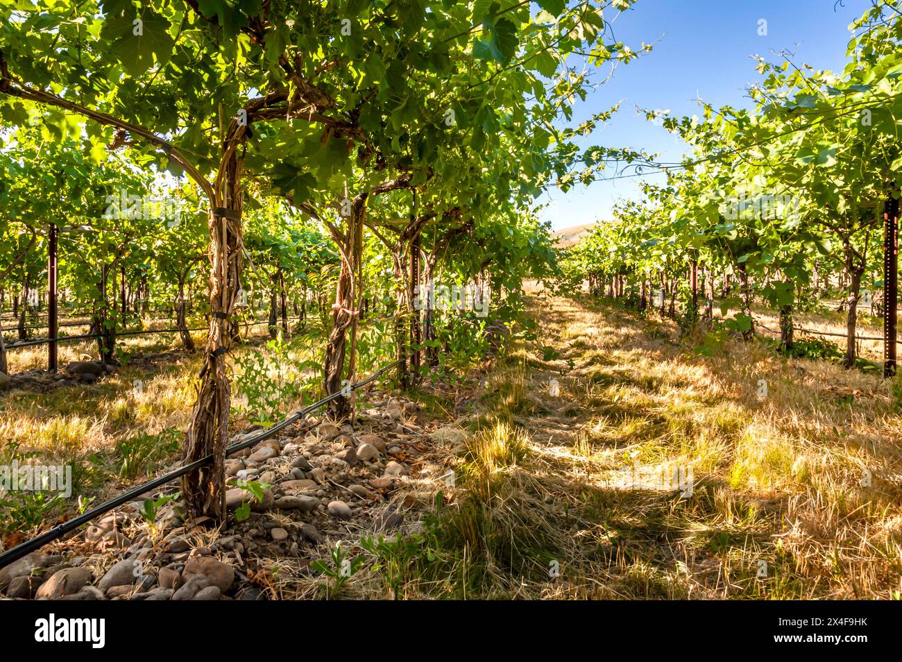 USA, Washington State, The Rocks District of Milton-Freewater. The Funk ...
