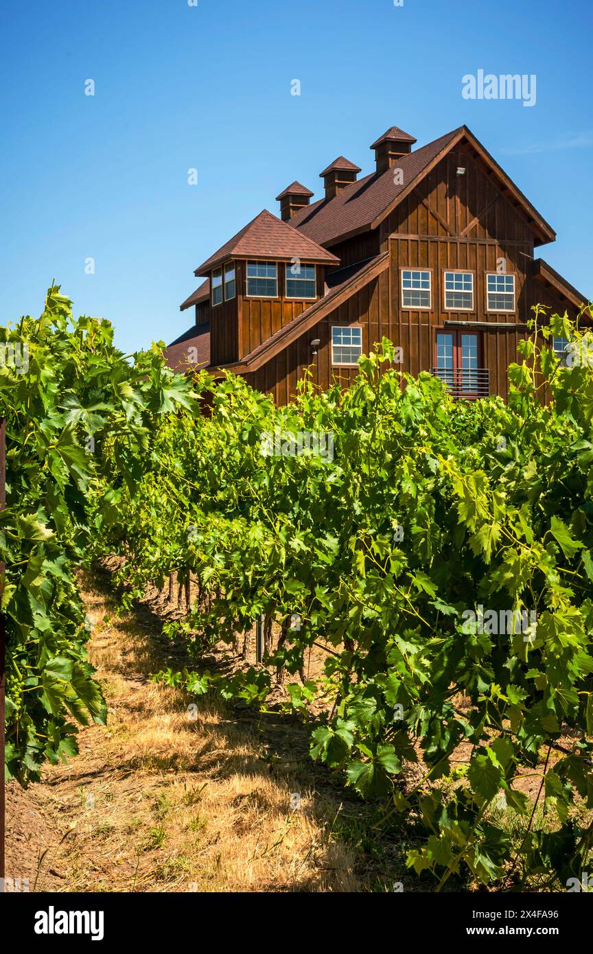 USA, Washington State, Yakima Valley. Ciel du Cheval Vineyard and ...
