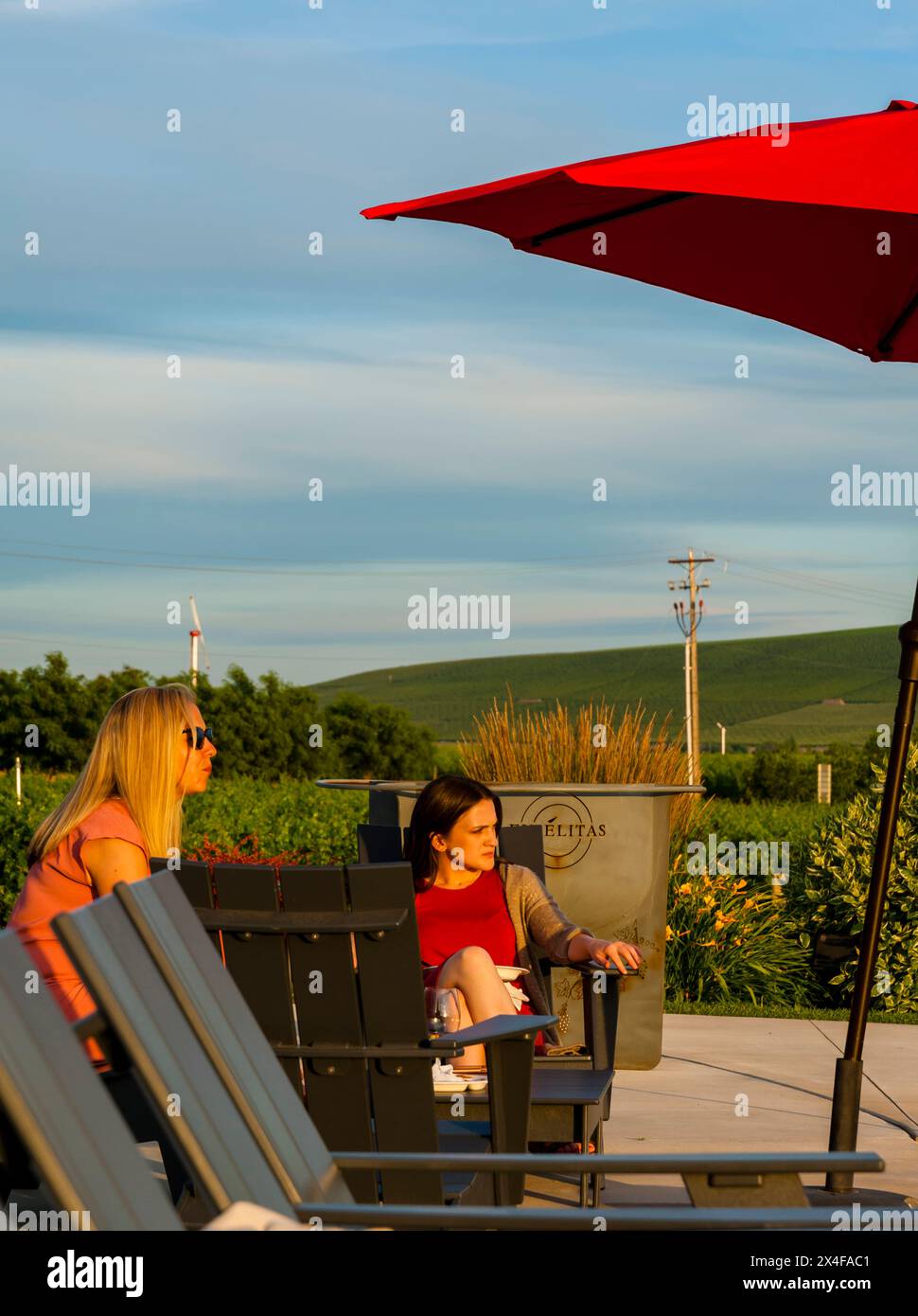 USA, Washington State, Yakima Valley. Guests admire the wines and the ...