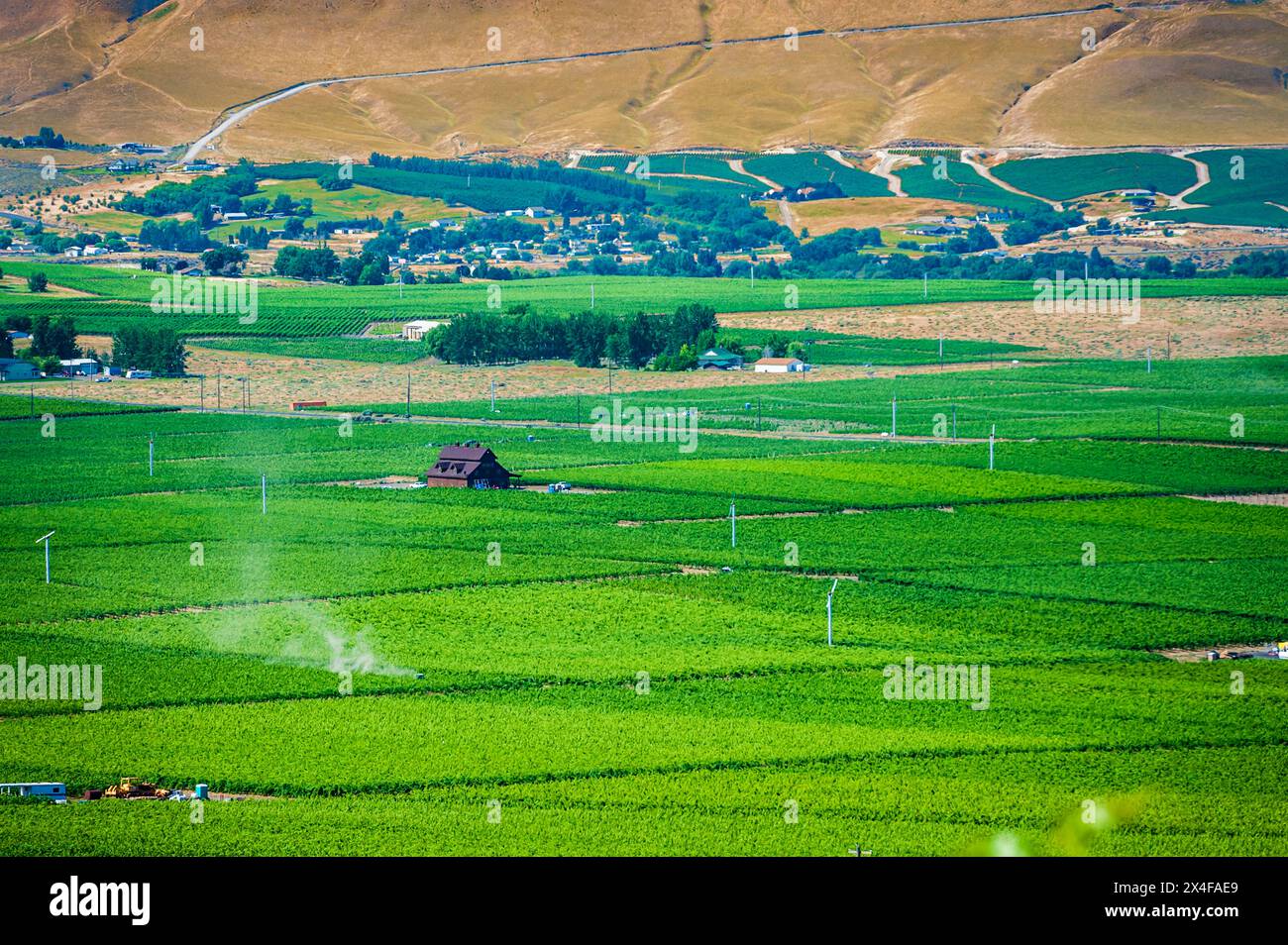 USA, Washington State, Yakima Valley. Dusk on the Red Mountain ...