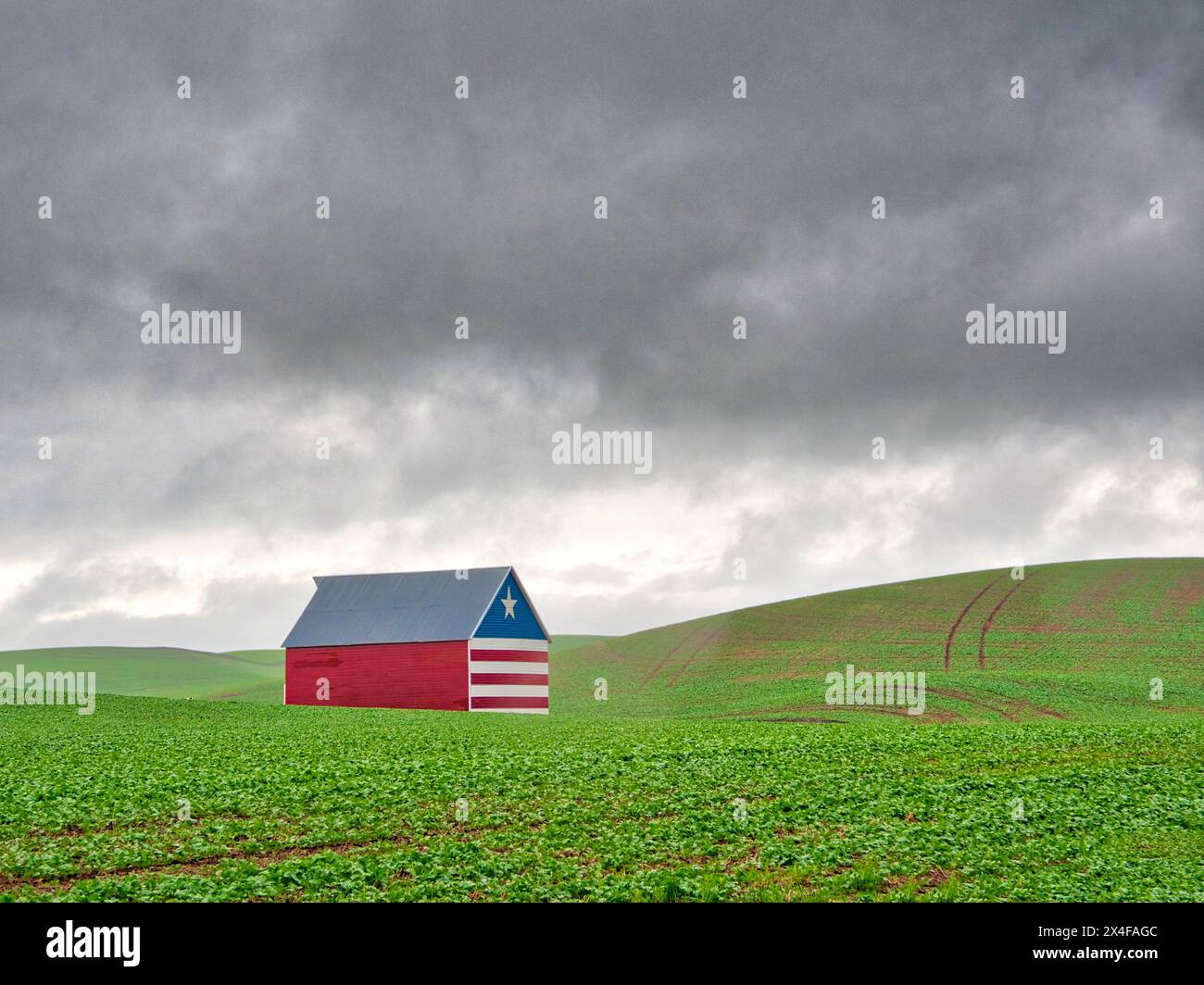 USA, Washington State, Palouse Region. Barn in wheat field with flag on ...