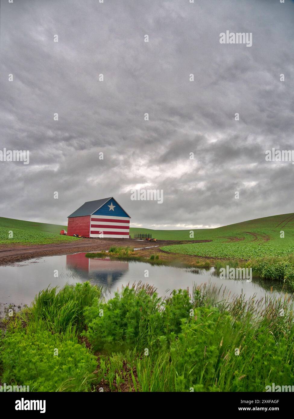 USA, Washington State, Palouse Region. Barn in wheat field with flag on ...