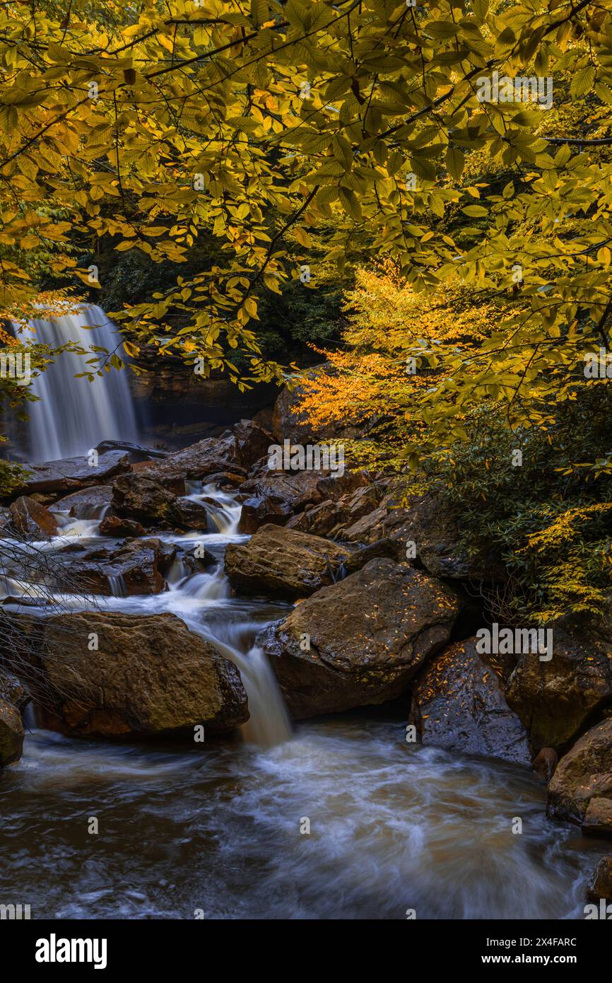 Douglas falls west virginia hi-res stock photography and images - Alamy