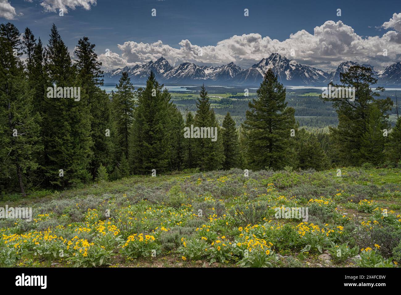 USA, Wyoming. Landscape of Teton Mountains, Mount Moran and Grand Teton ...