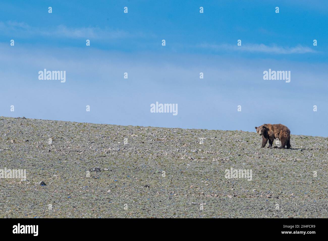 Scree slope hi-res stock photography and images - Alamy