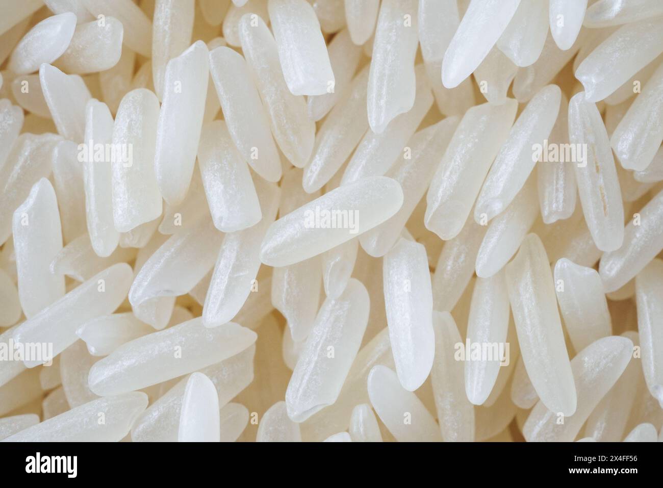 Thailand Jasmine rice grains texture background close up Stock Photo ...