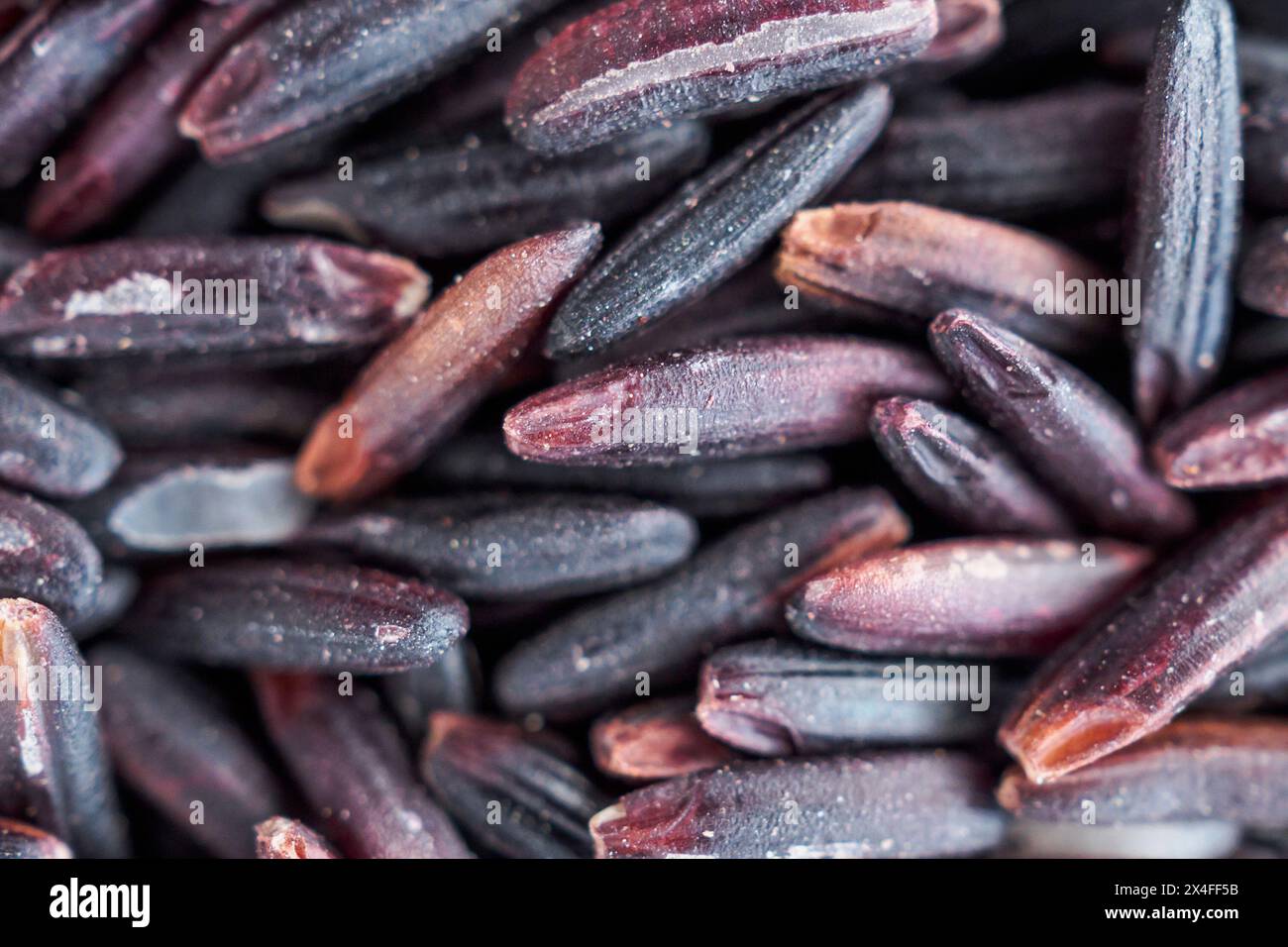 raw organic Thailand riceberry rice texture background Stock Photo - Alamy