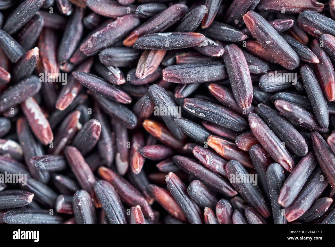 raw organic Thailand riceberry rice texture background Stock Photo - Alamy