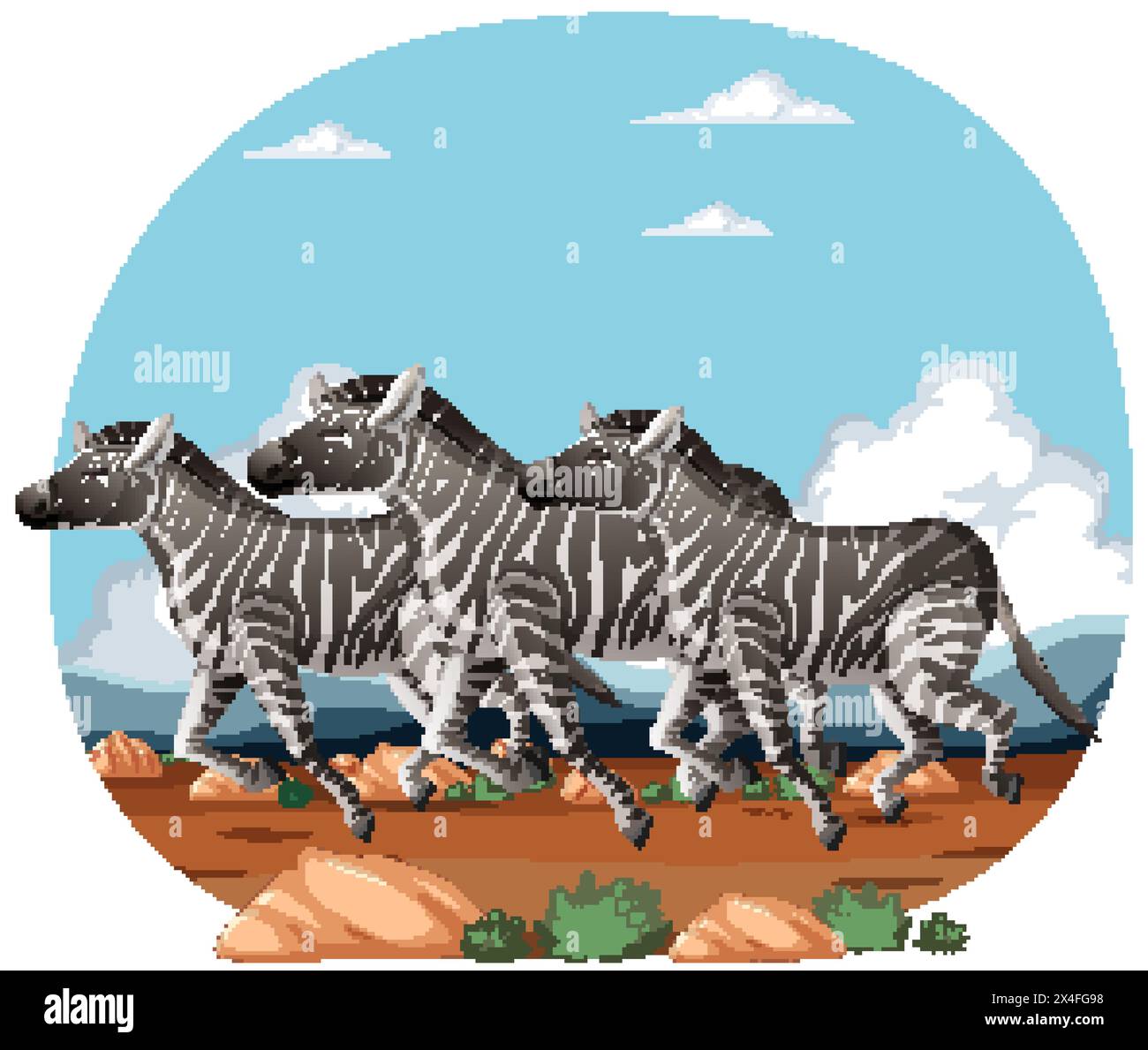 Illustration of three zebras galloping outdoors Stock Vector Image ...