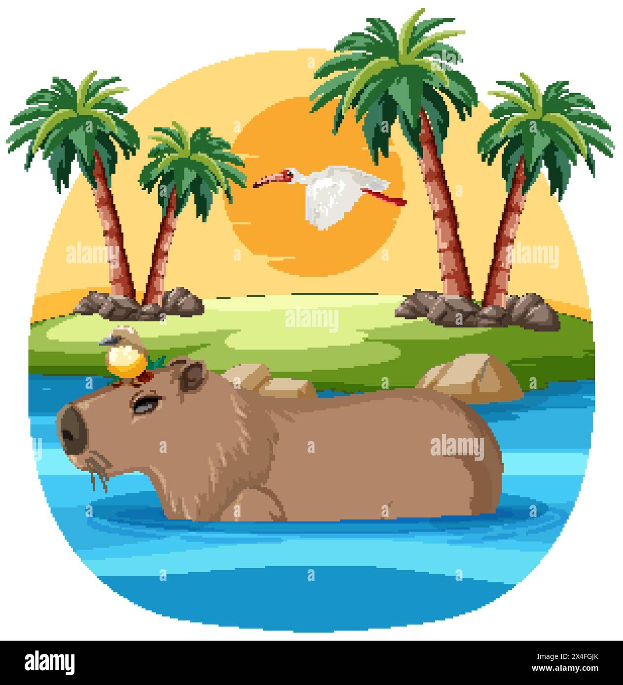 Capybara in water with bird hi-res stock photography and images - Alamy