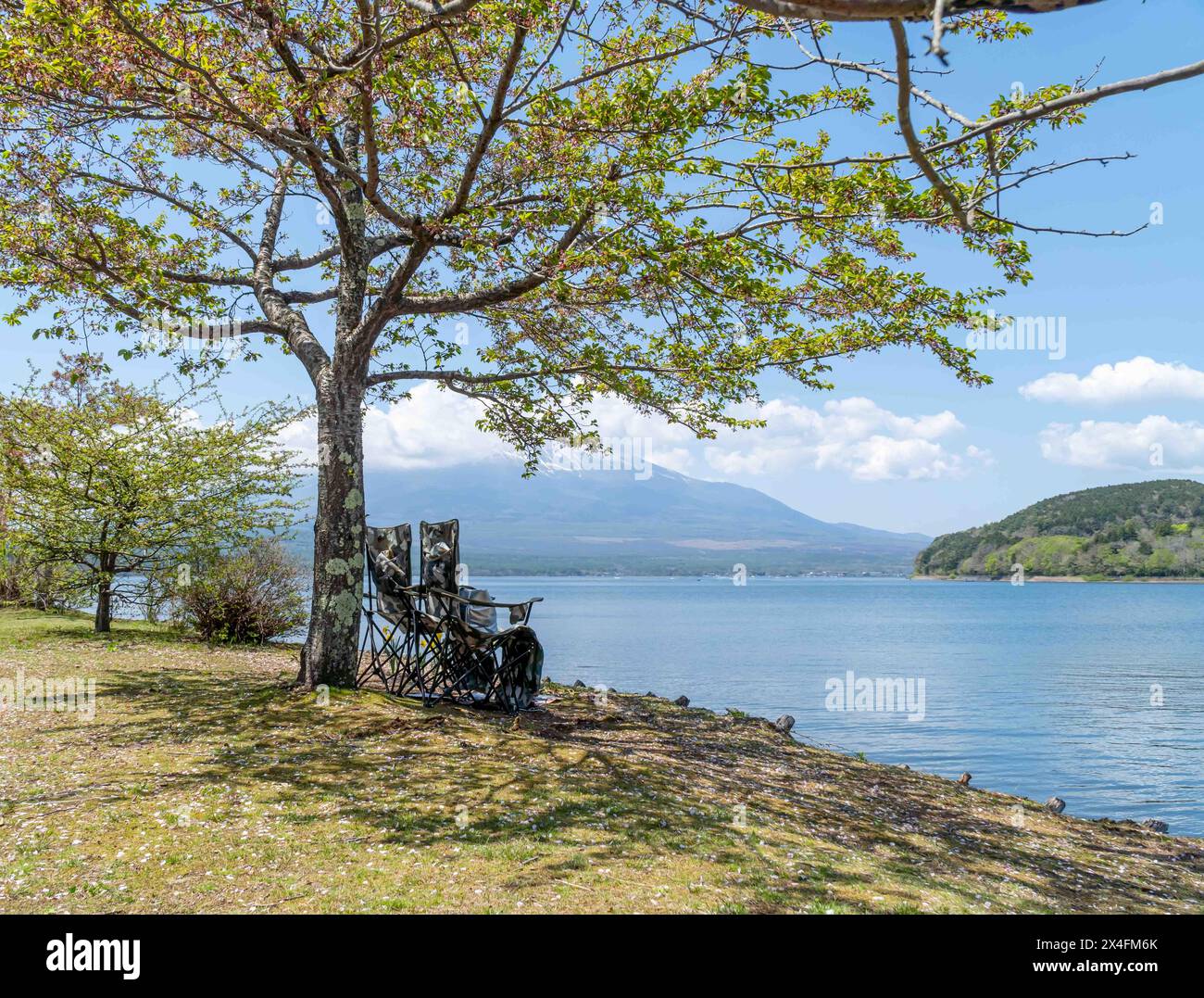Sitting under tree at the lake side Stock Photo - Alamy