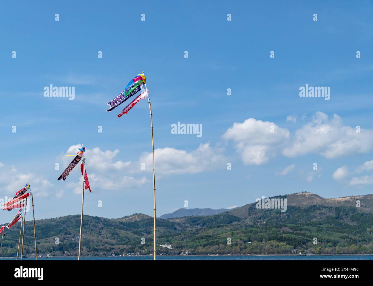The koi fish flag during the golden week in Japan Stock Photo - Alamy