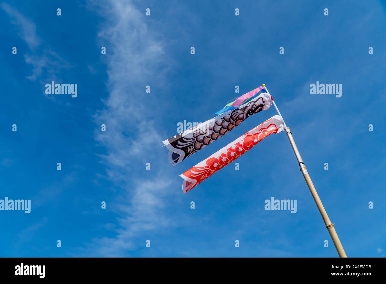 The koi fish flag during the golden week in Japan Stock Photo - Alamy