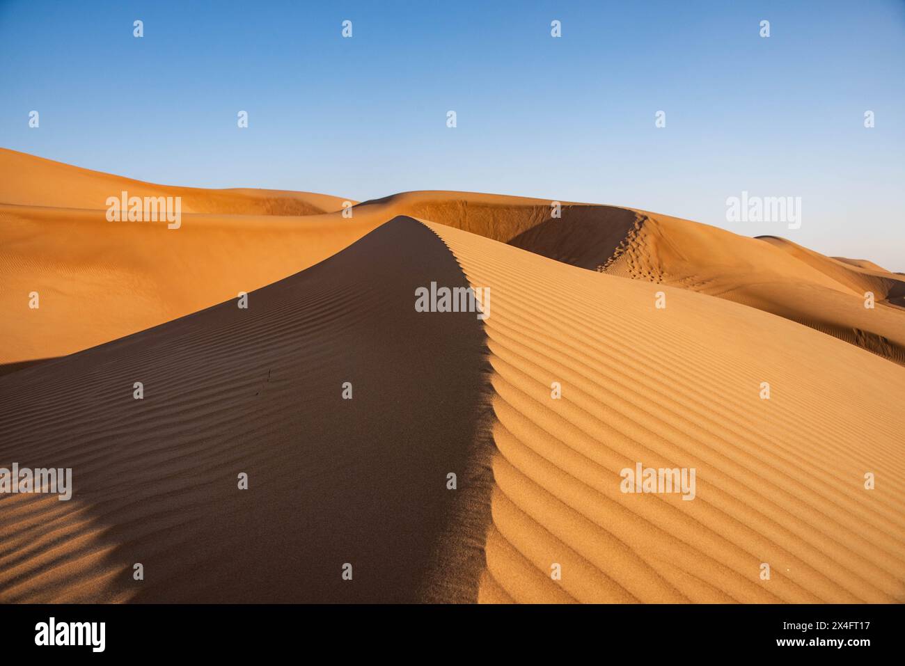Sculpted sand dunes, Wahiba Sands, Ash Sharqiyah, Oman Stock Photo - Alamy