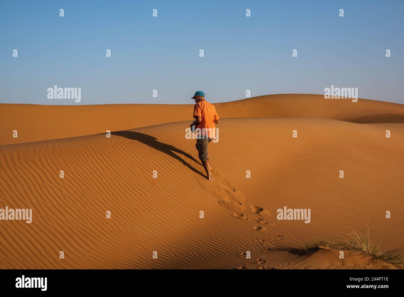 Walking in desert sand dunes, Wahiba Sands, Ash Sharqiyah, Oman Stock ...