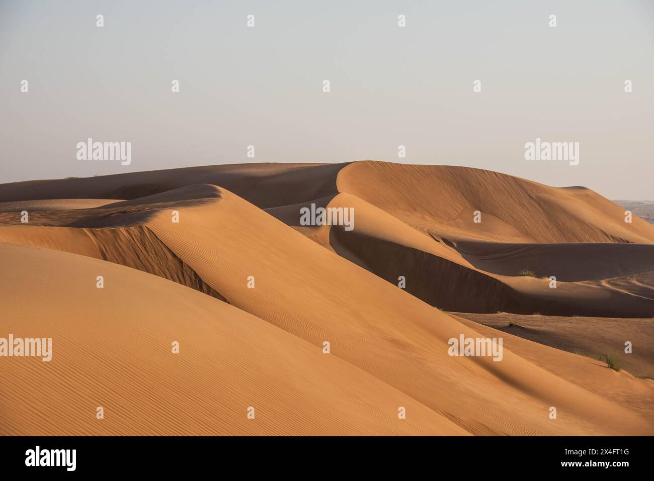 Sculpted sand dunes, Wahiba Sands, Ash Sharqiyah, Oman Stock Photo - Alamy