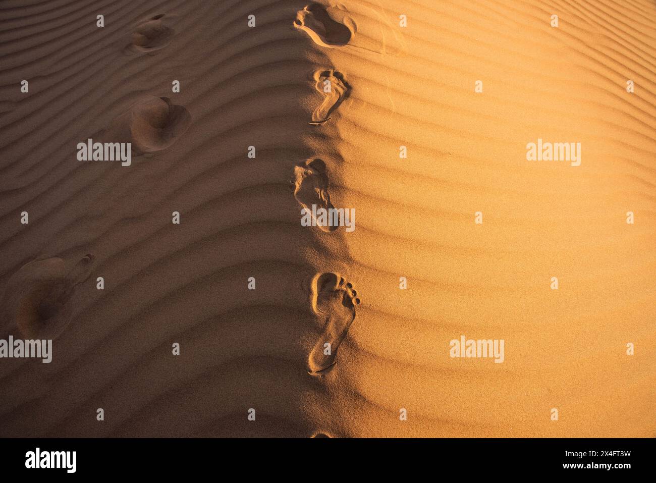 Footprints in desert sand dunes, Wahiba Sands, Ash Sharqiyah, Oman ...