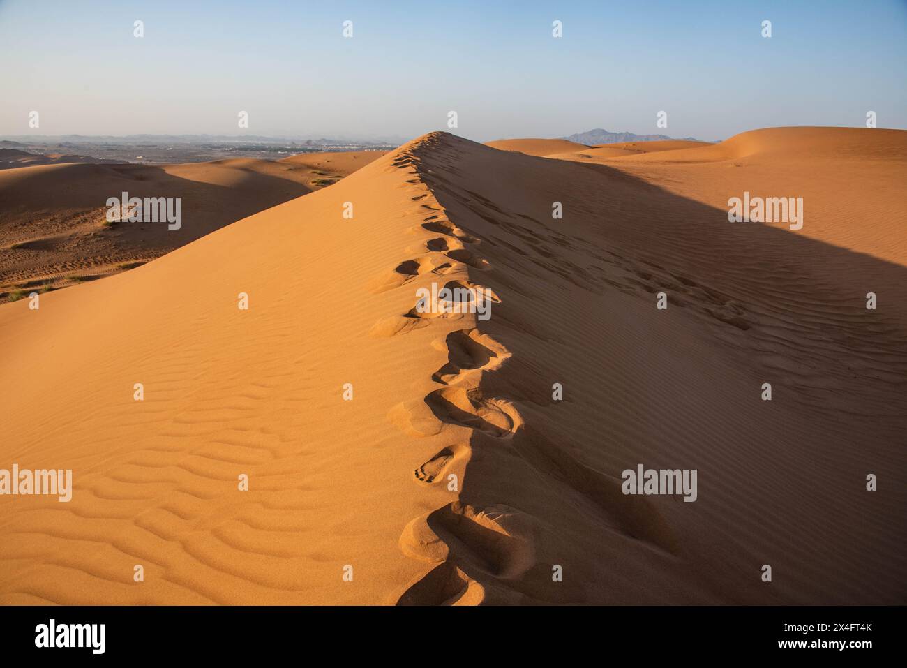 Footprints in desert sand dunes, Wahiba Sands, Ash Sharqiyah, Oman ...
