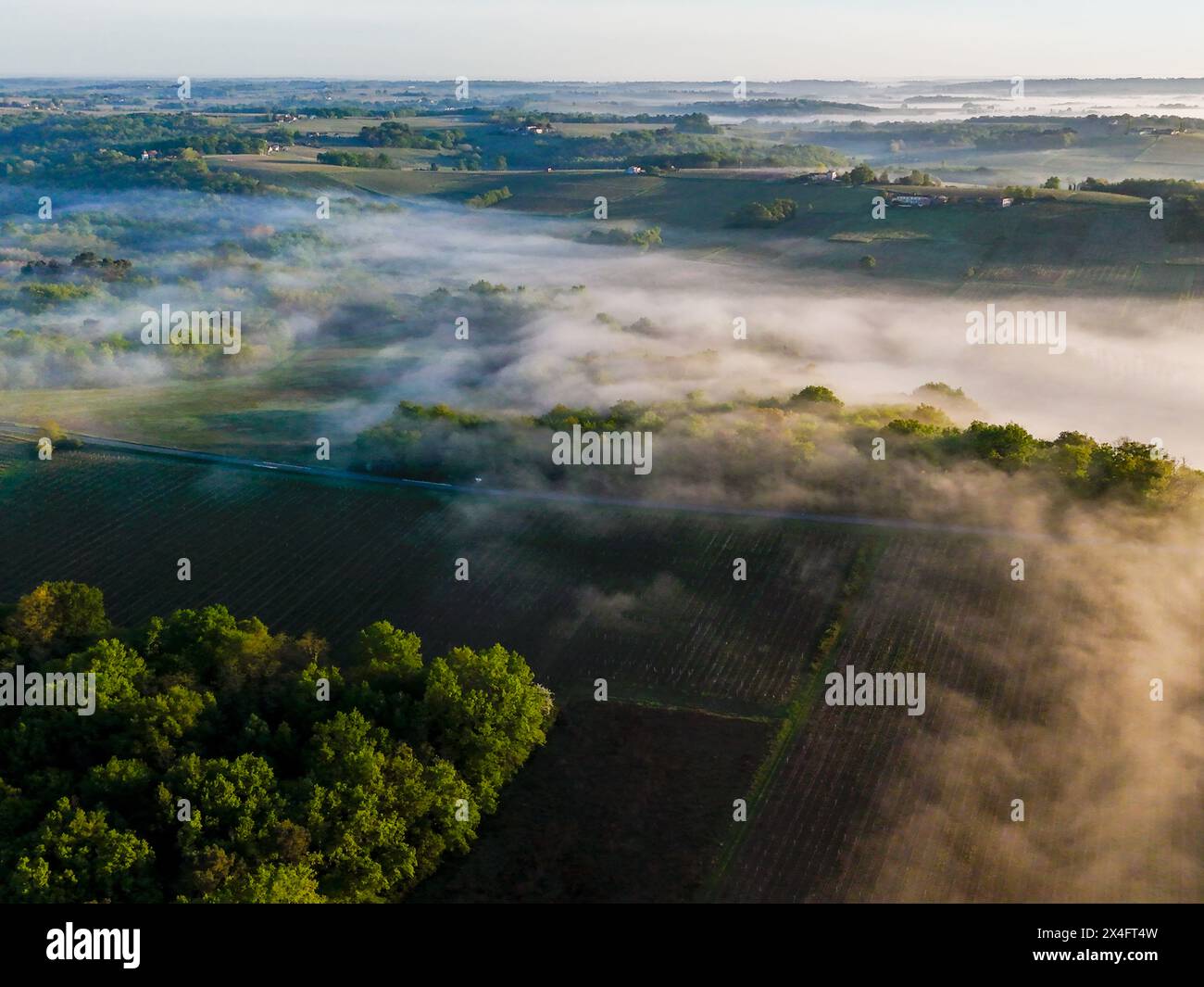 Aerial view of Bordeaux vineyard at sunrise spring under fog, Rions, Gironde, France Stock Photo ...