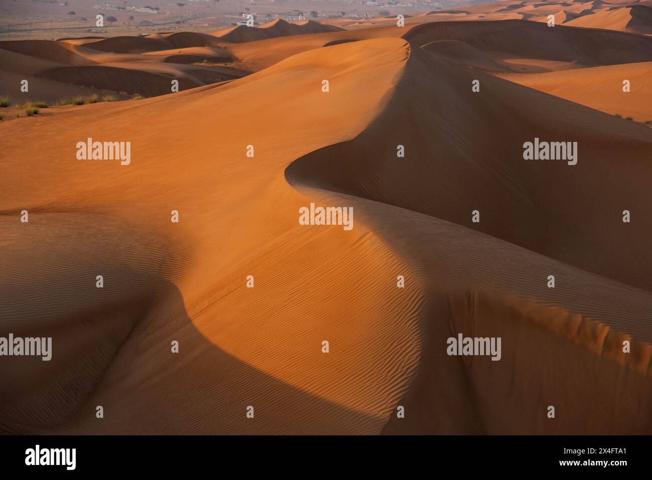 Sculpted sand dunes, Wahiba Sands, Ash Sharqiyah, Oman Stock Photo - Alamy