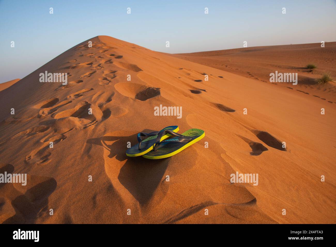 Footprints in desert sand dunes, Wahiba Sands, Ash Sharqiyah, Oman ...