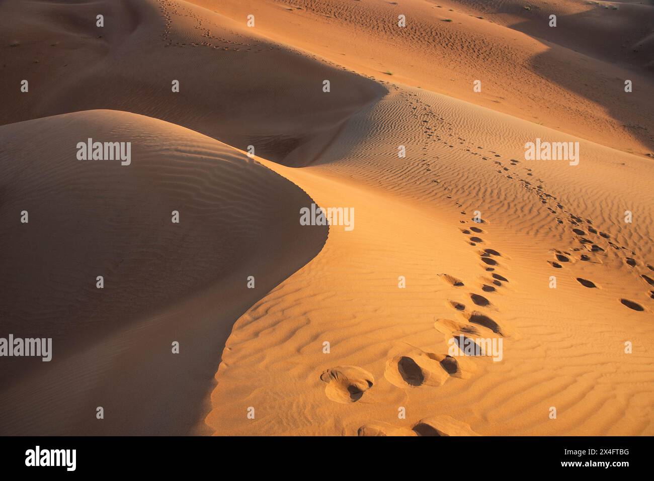 Sculpted sand dunes, Wahiba Sands, Ash Sharqiyah, Oman Stock Photo - Alamy