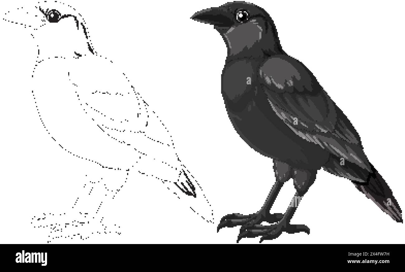 Vector illustration of crows in black and white Stock Vector Image ...