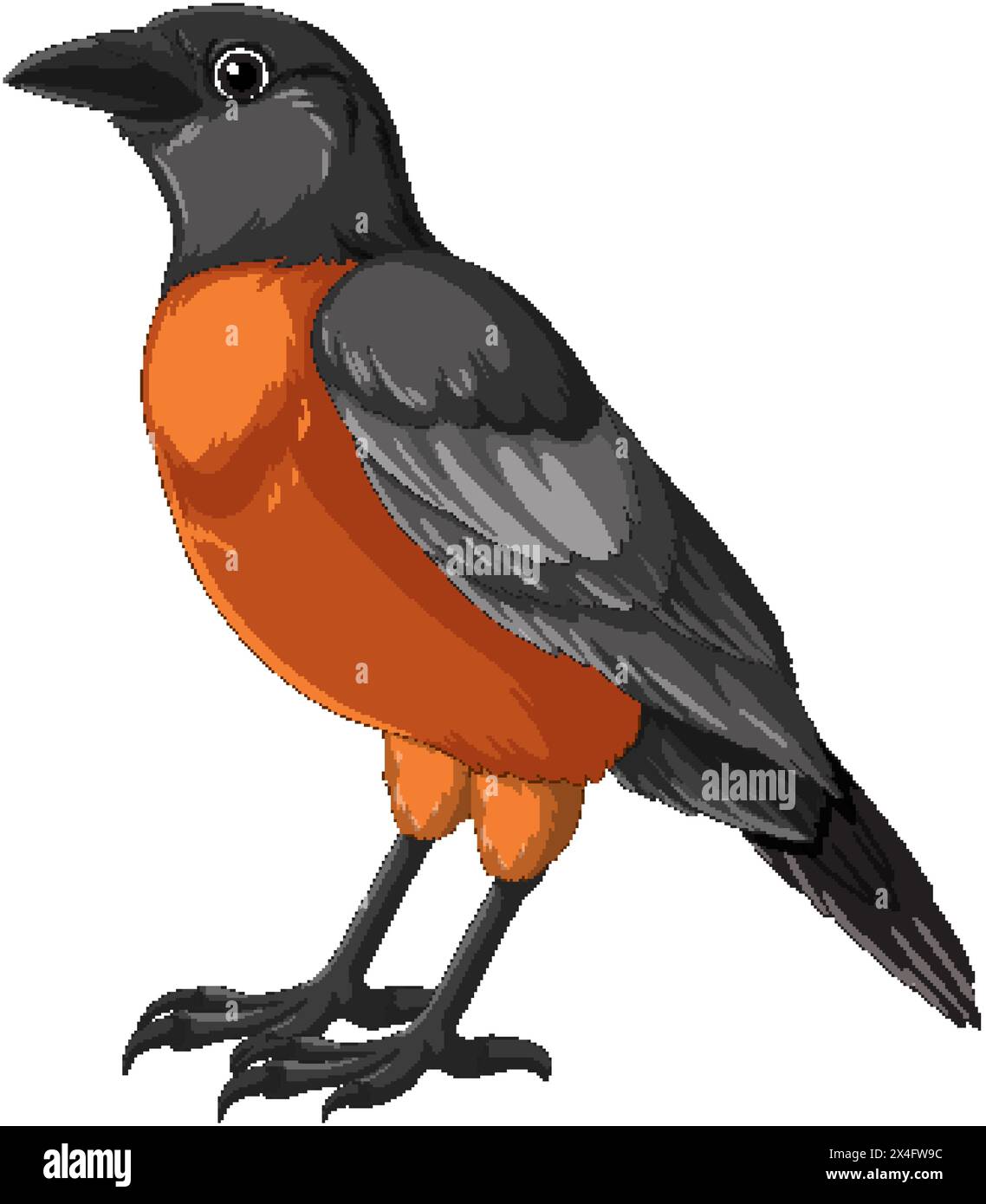Detailed vector art of a vibrant robin bird Stock Vector Image & Art ...