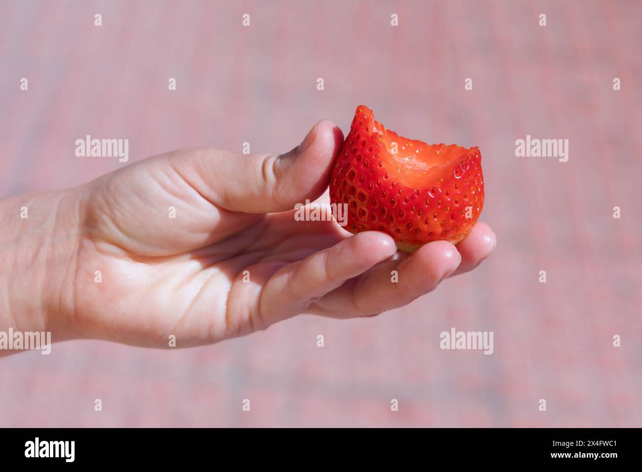 Strawberry in the hand of a woman. Bite Strawberry in the hand Stock ...