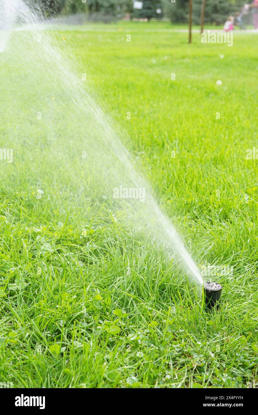 Automatic smart lawn sprinkler watering green lawn grass in sunny day ...