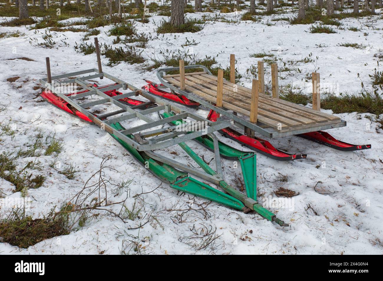 Sleighs for moving harvested tree trunks in forest in spring Stock ...