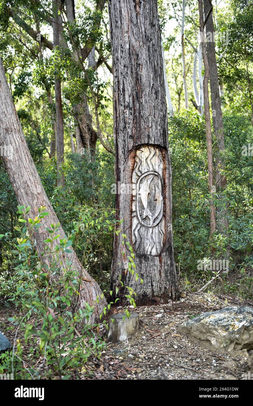 carved tree in the forest Stock Photo - Alamy