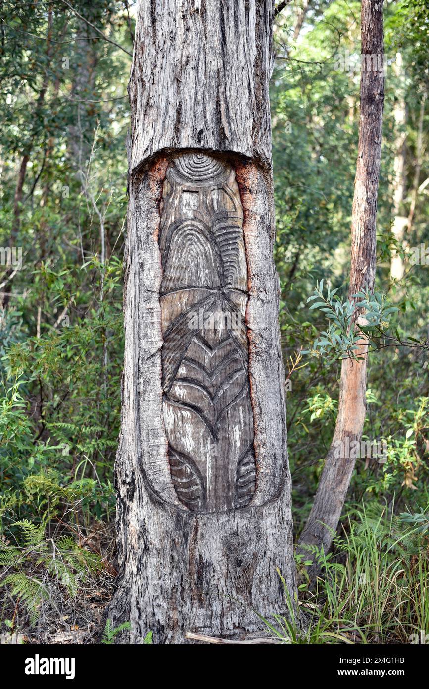 carved tree in the forest Stock Photo - Alamy
