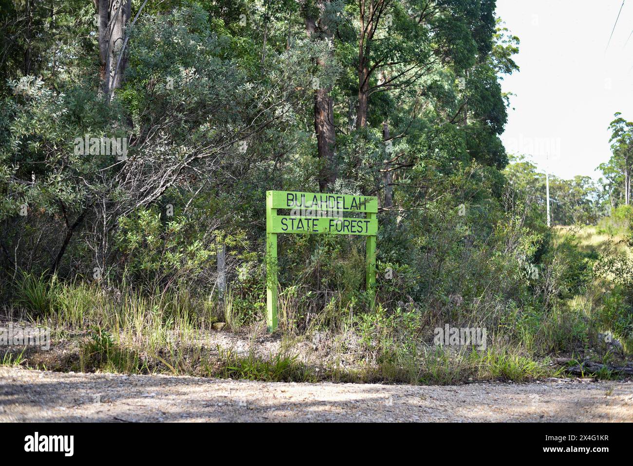 entrance sign to the forest Stock Photo - Alamy