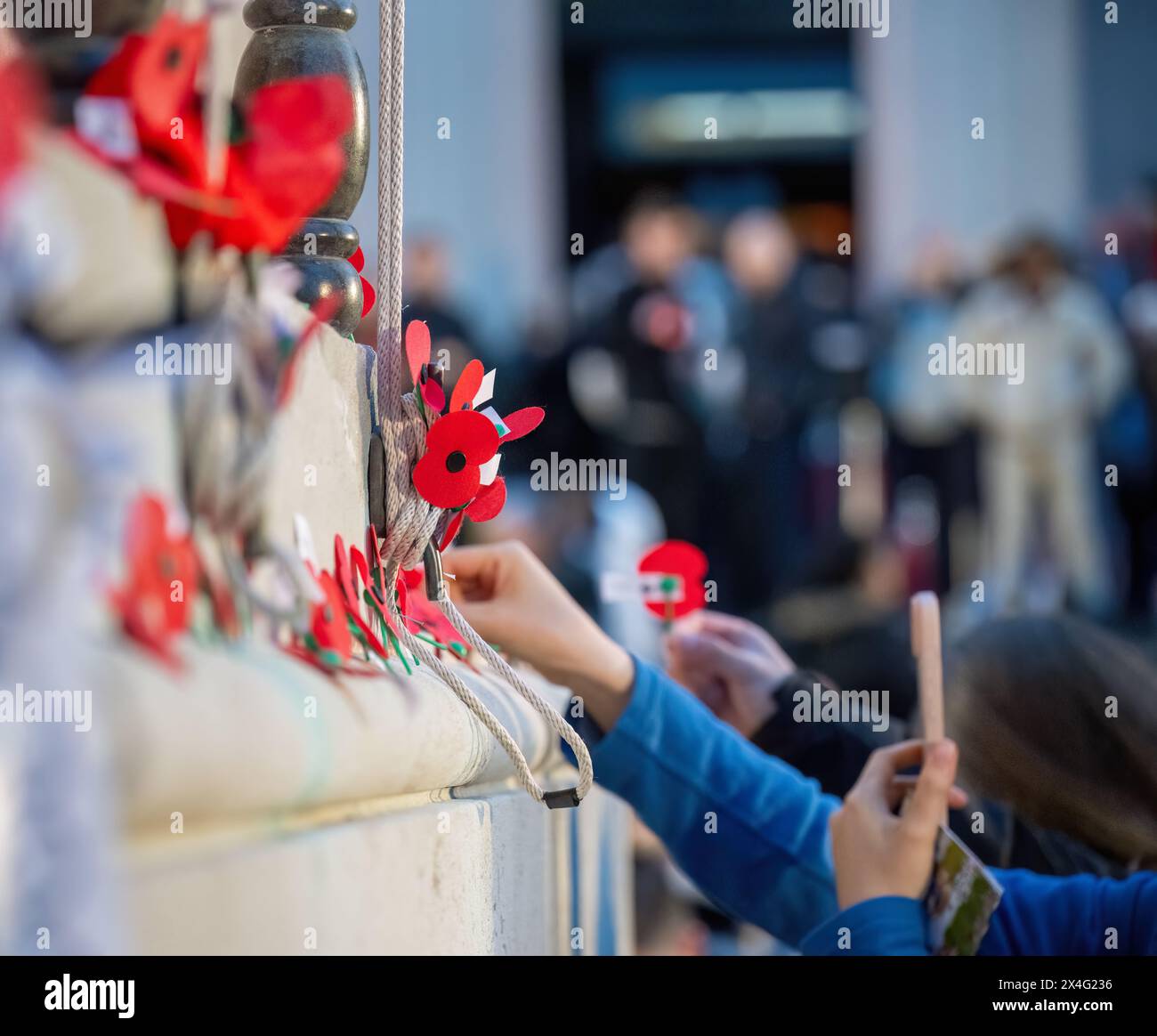 Hands put red poppies on the wall and take photos using a smartphone ...
