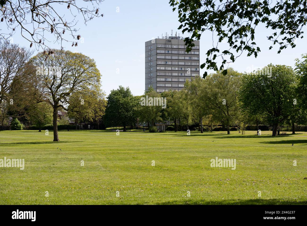 Ward end park hi-res stock photography and images - Alamy