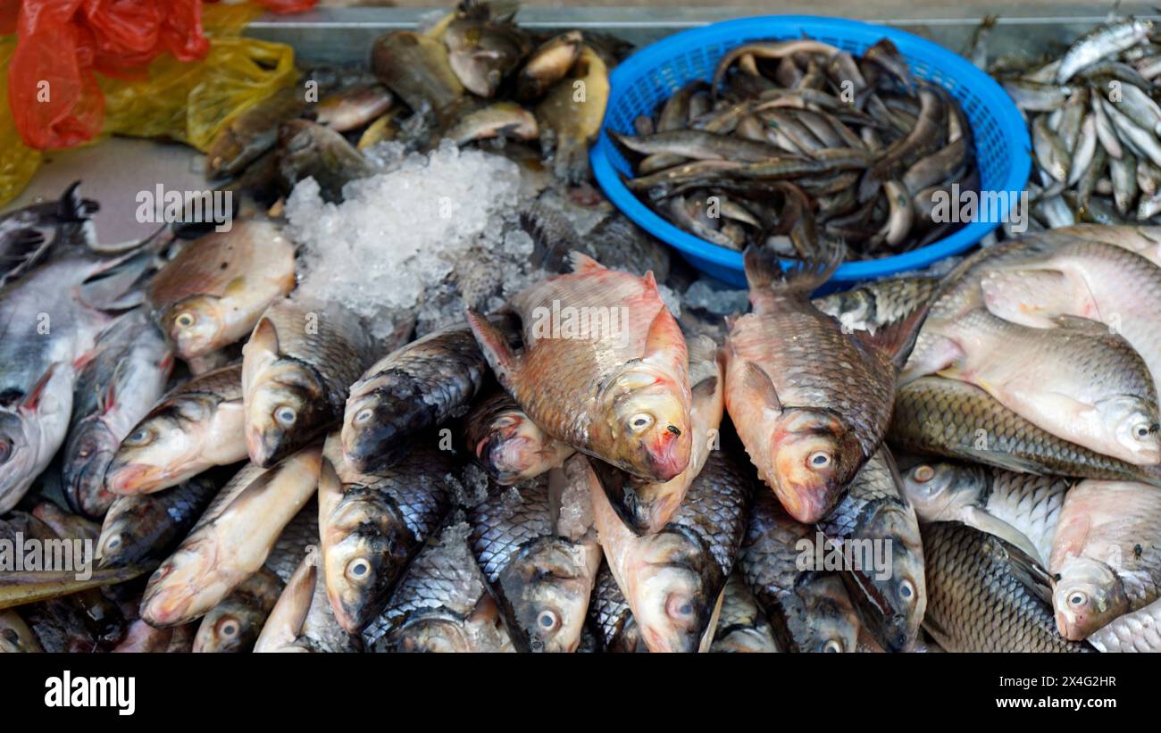 fresh fish at a local market in siem reap in cambodia Stock Photo - Alamy